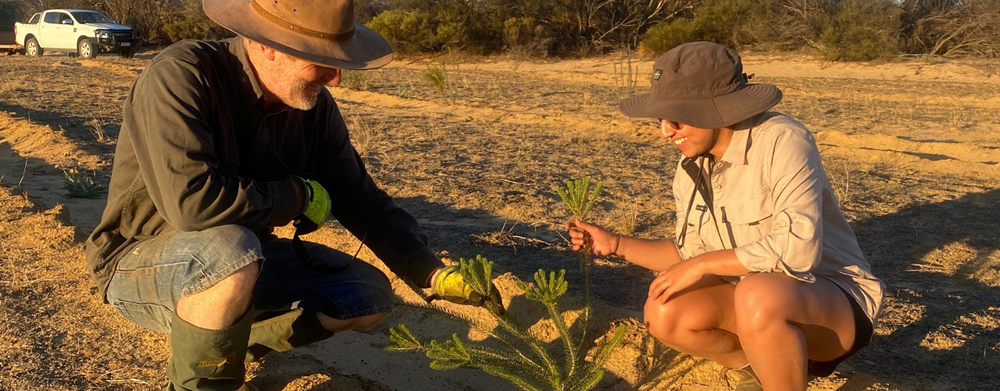 News – Earth Choice