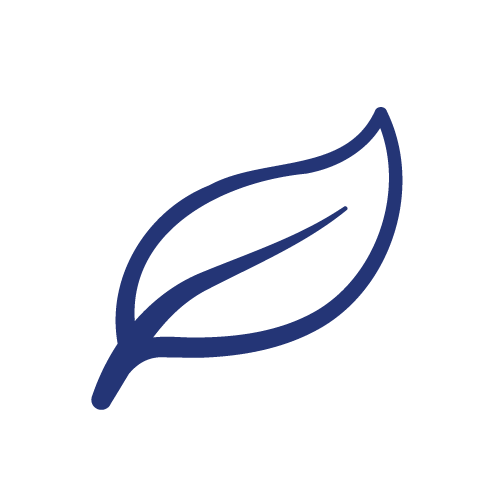 Multi Purpose Spray & Clean 600ml – Earth Choice